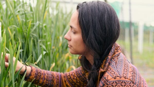 13 Plants with Deep Spiritual Meaning in Native American Cultures