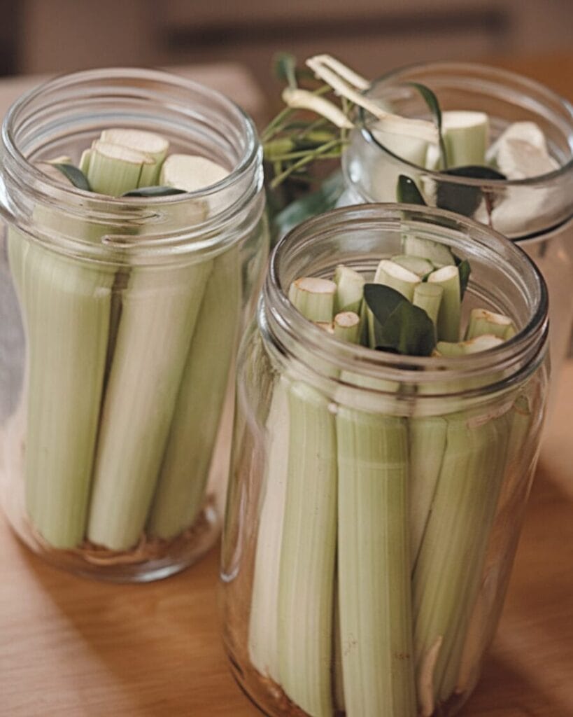 Cattail Cuisine: 8 Tips to Forage & Enjoy this Wild Edible